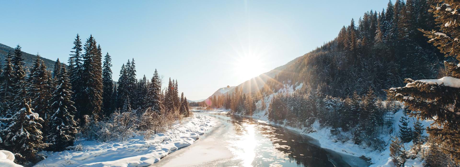 A bite of the Great White North: A foodies’ guide to Canada | Newmarket ...