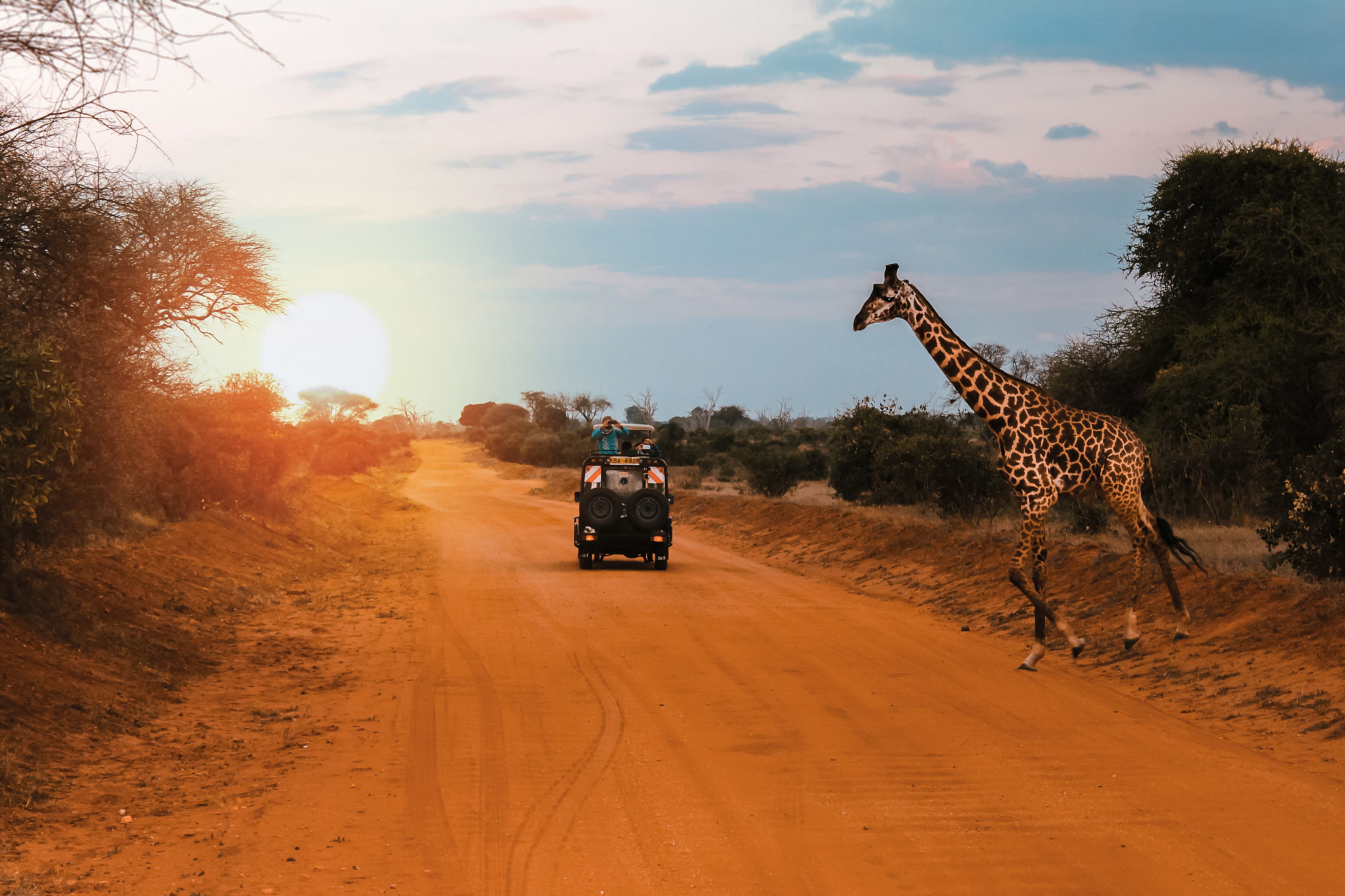 Safari Holidays 2026/2027/2028 | Newmarket Holidays