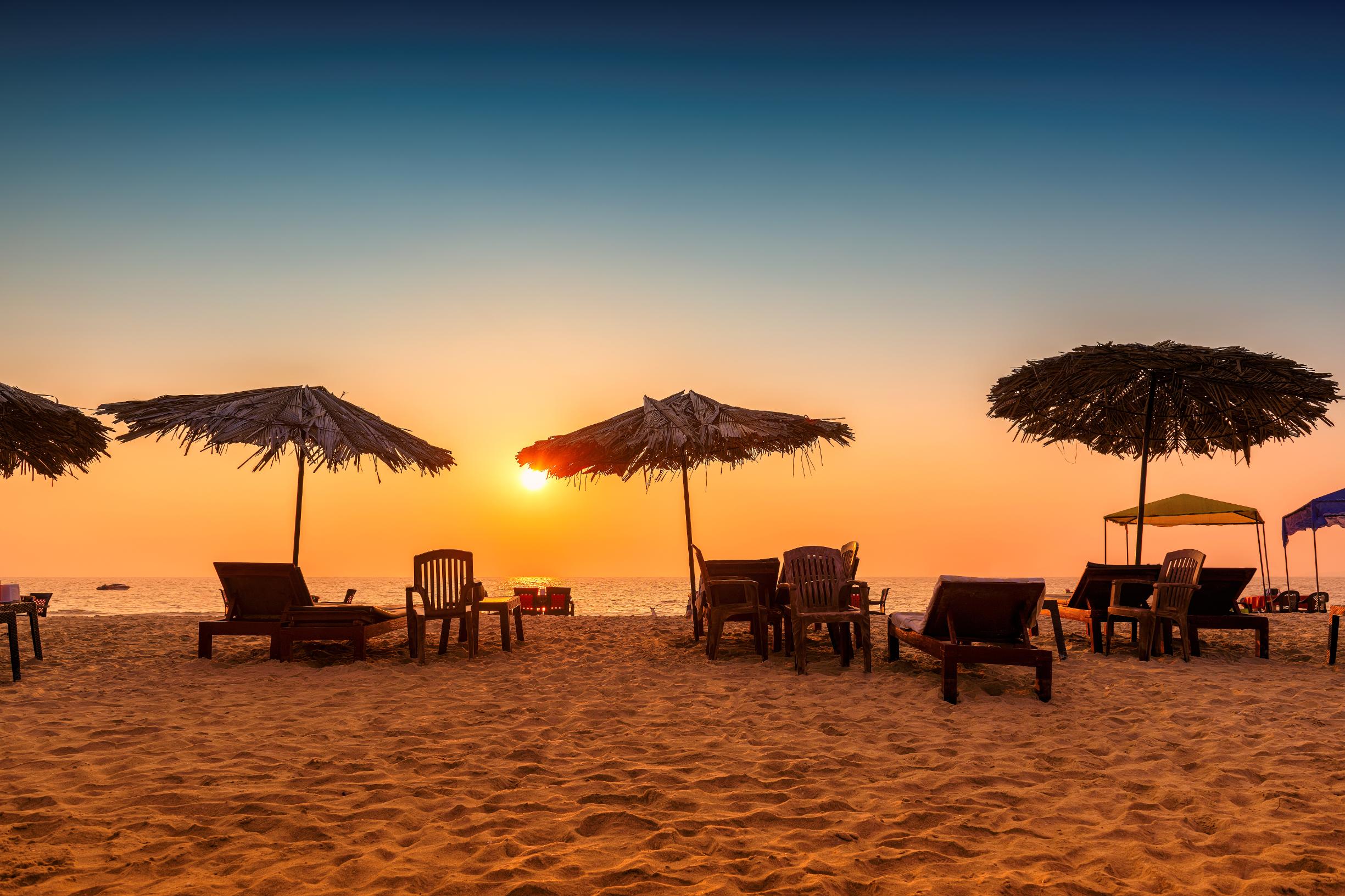 Rudyard Kipling's Jungle Safaris and Taj Mahal with Goa | Newmarket ...