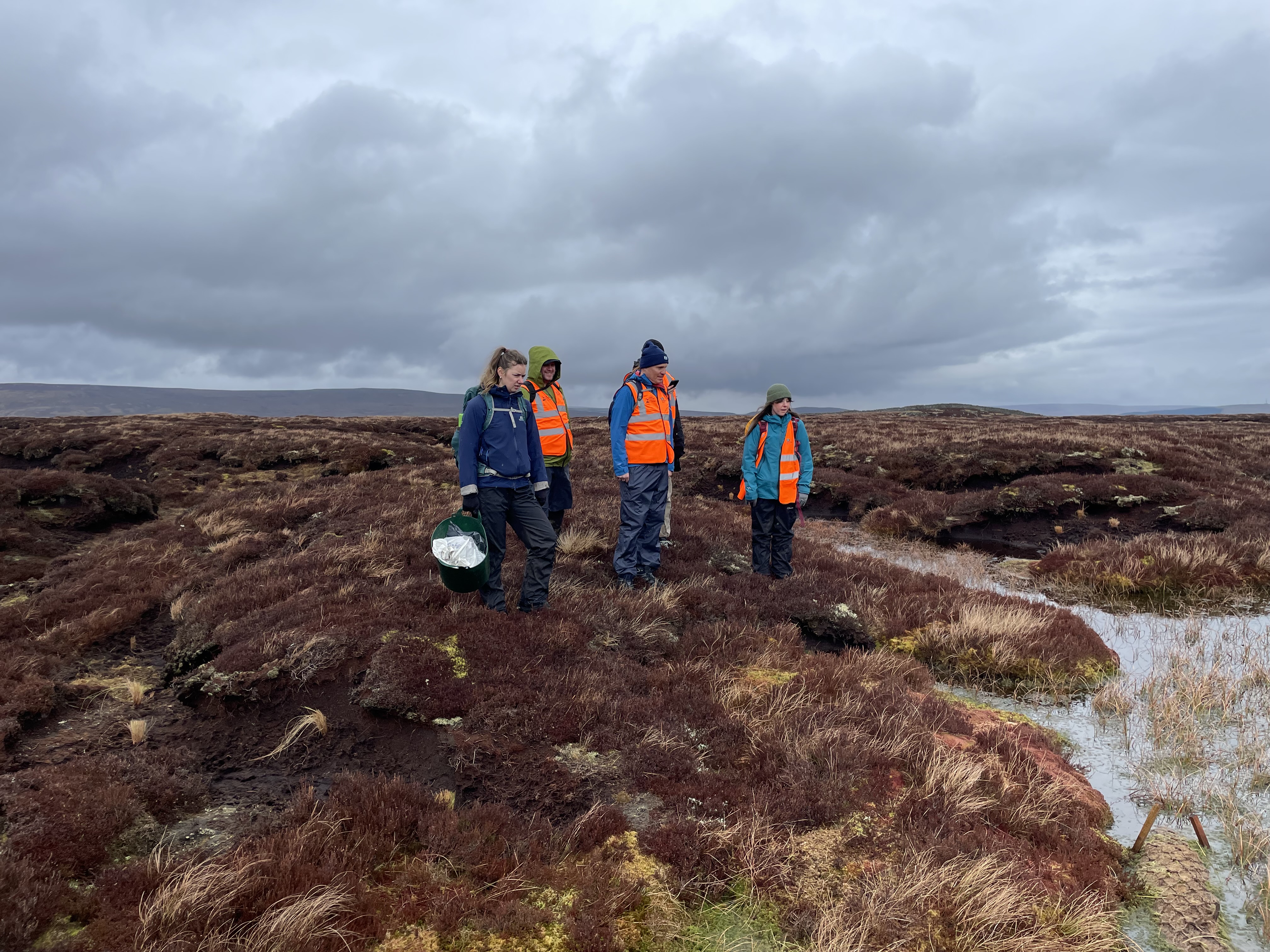 Travel for Good: Four ways Britain’s peatlands are critical to a ...